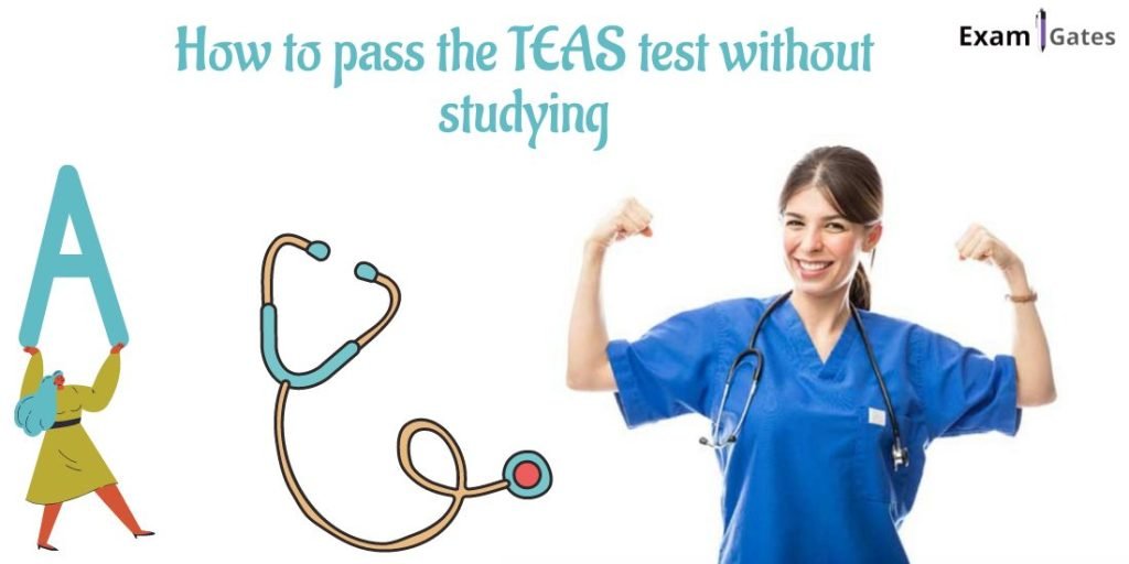 How to pass the TEAS test without studying - ExamGates - AmplifyGlobe